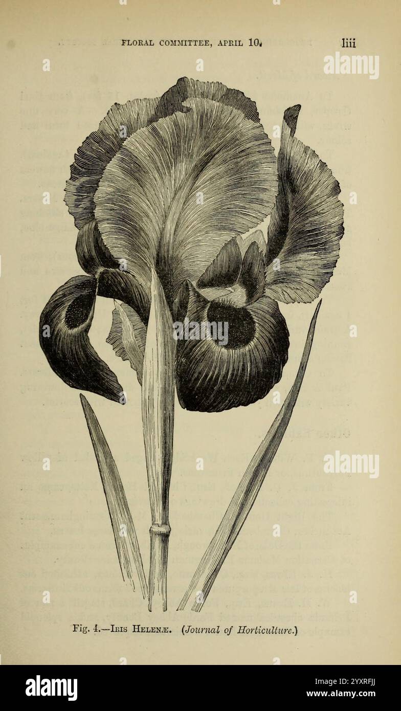 Journal of the Royal Horticultural Society of London, London, Printed ...
