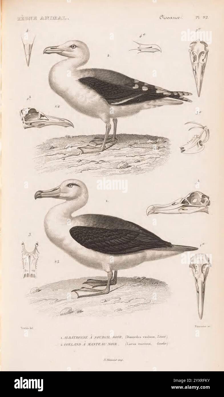 Depict various angles hi-res stock photography and images - Alamy