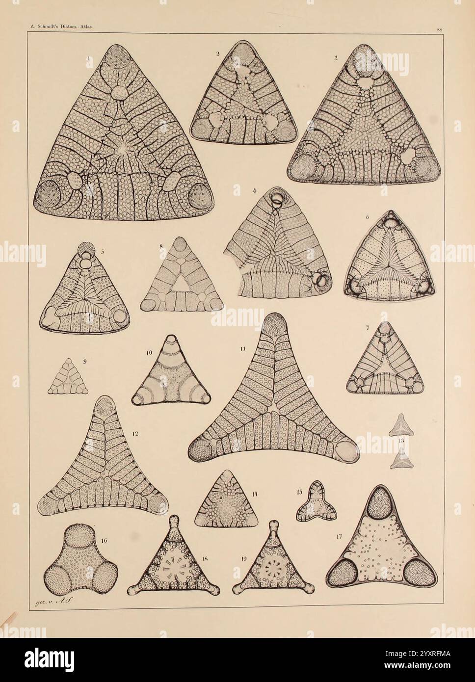 Triangular configurations hi-res stock photography and images - Alamy