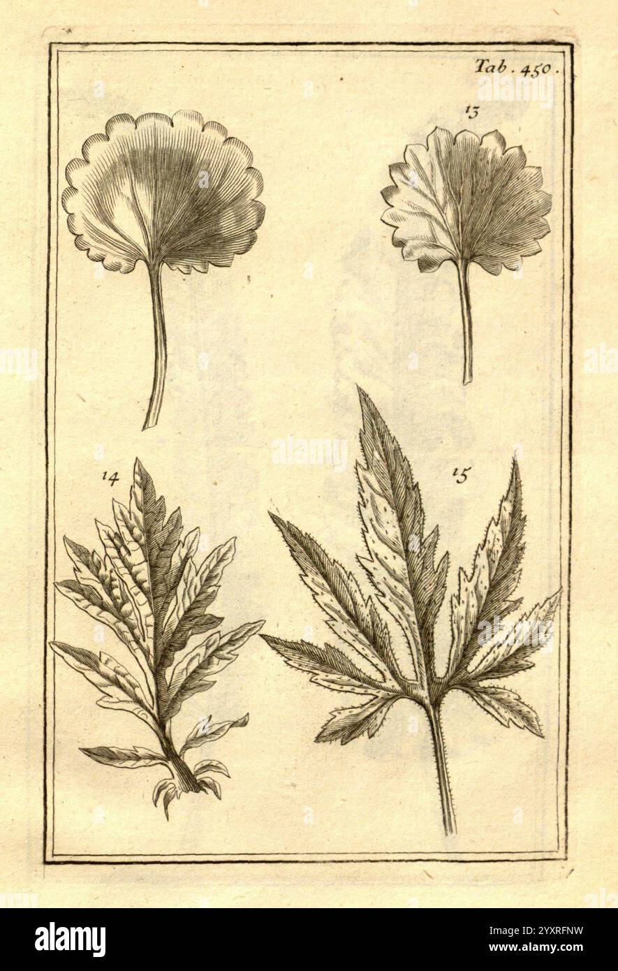 Top section displays two distinct shapes hi-res stock photography and ...