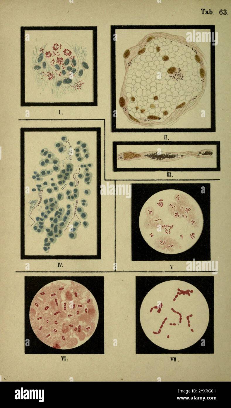 Three distinct panels hi-res stock photography and images - Alamy