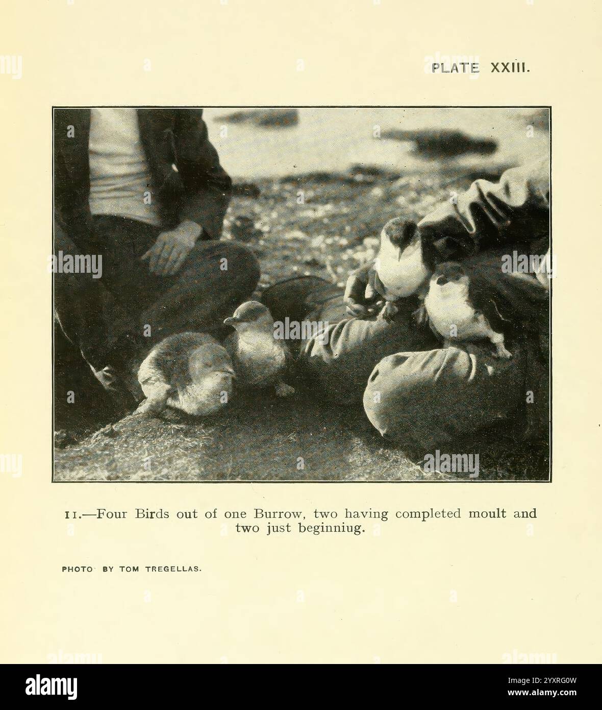 Illustrating different stages hi-res stock photography and images - Alamy