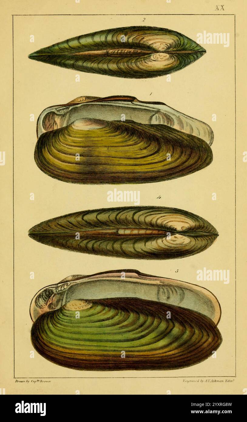 Subsequent depictions transition hi-res stock photography and images ...