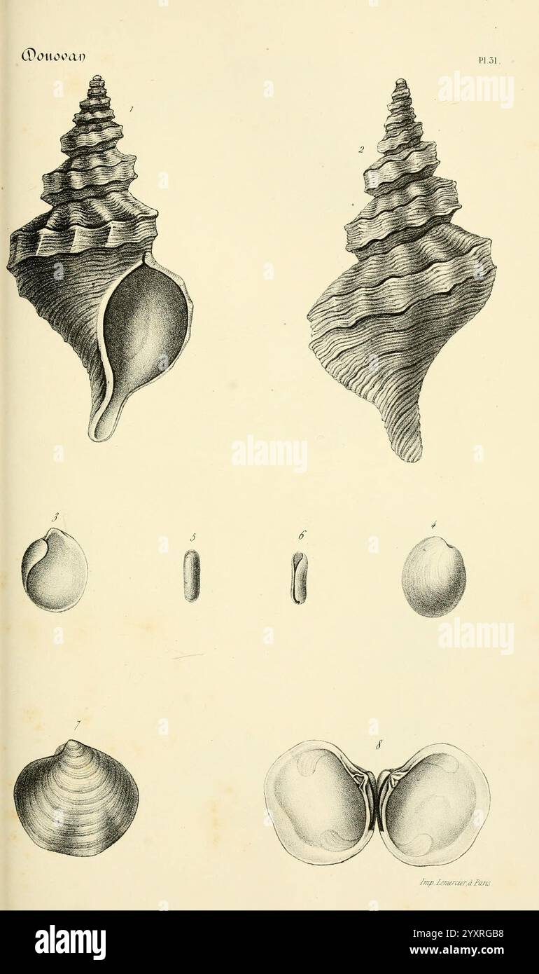 Featuring diverse forms hi-res stock photography and images - Alamy