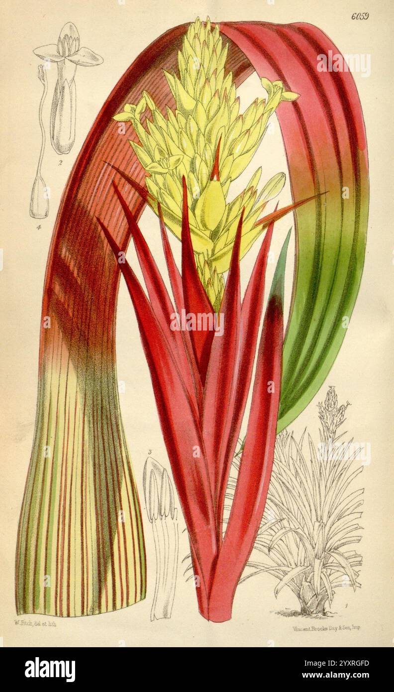 Bending gracefully upward hi-res stock photography and images - Alamy