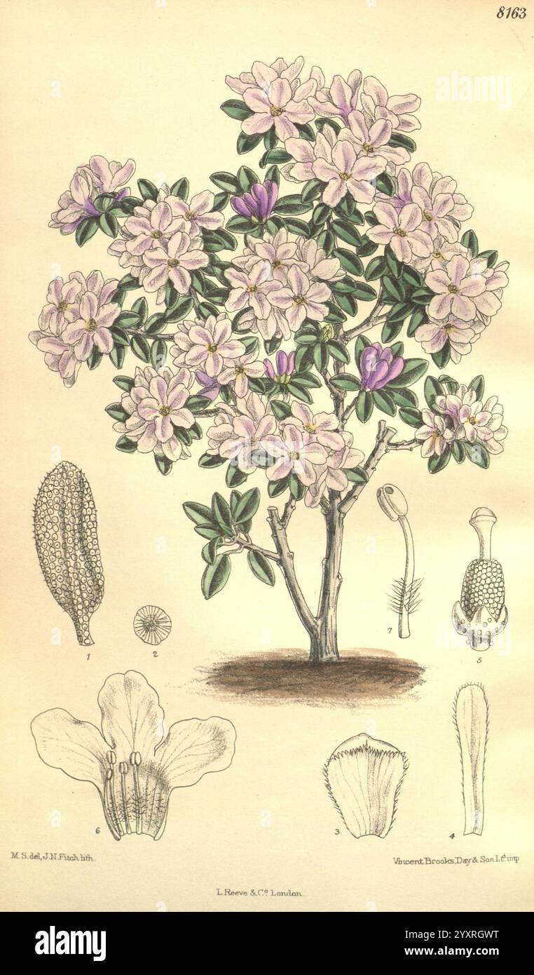 David prain women hi-res stock photography and images - Alamy