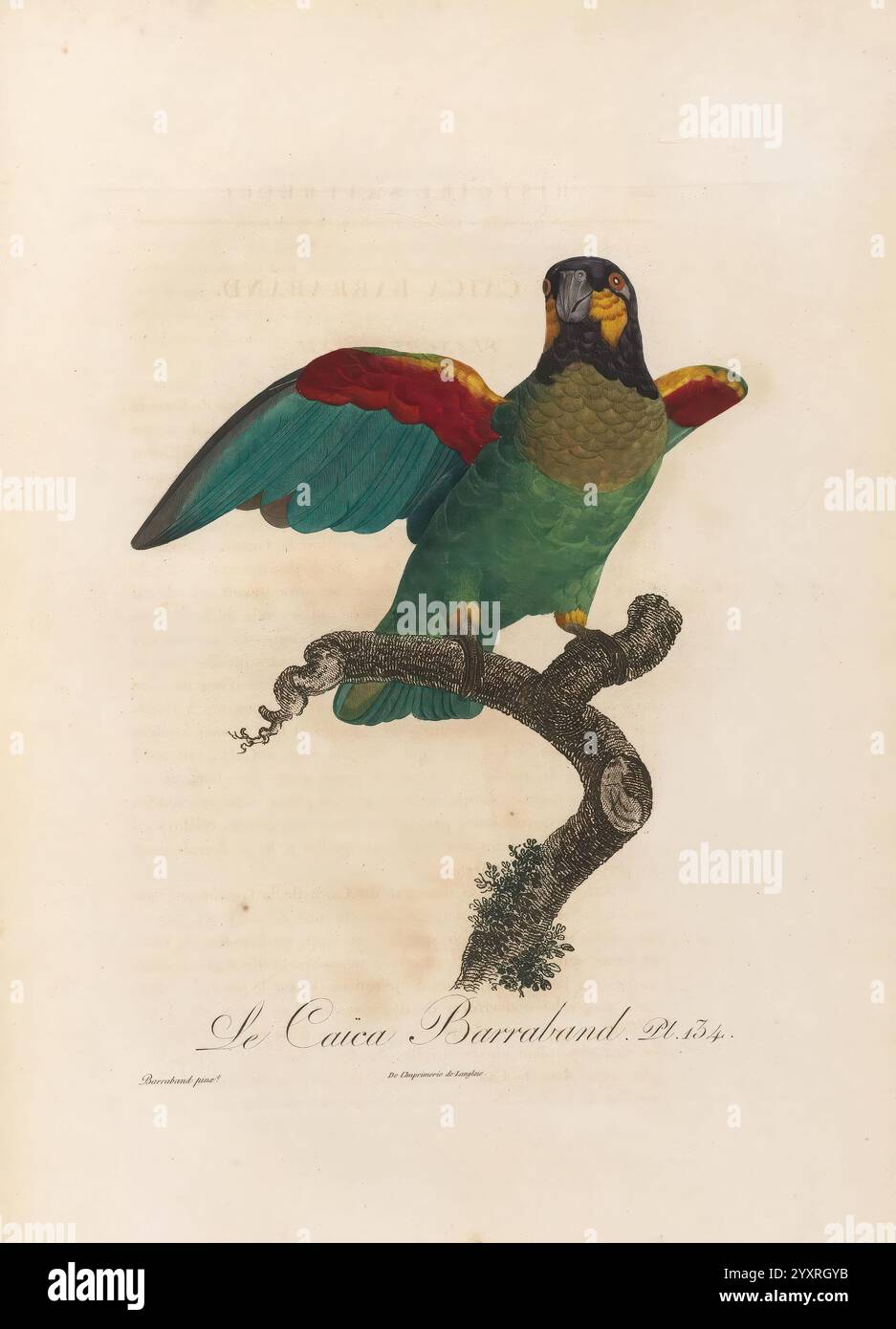 Citation identifies hi-res stock photography and images - Alamy