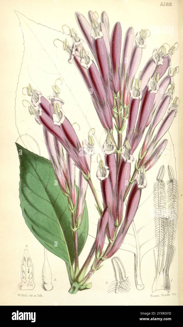 Showcasing multiple layers hi-res stock photography and images - Alamy