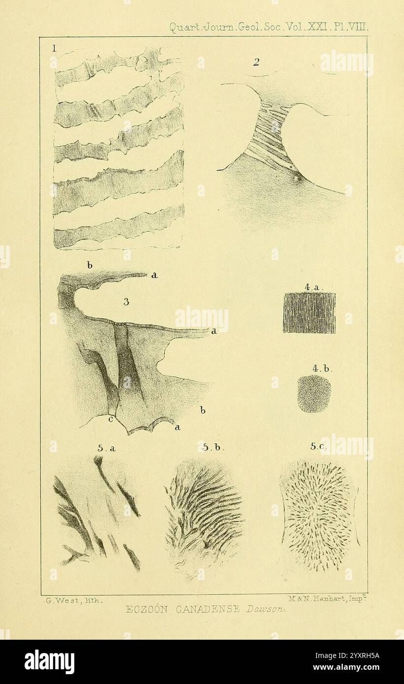 Section highlights different geological features hi-res stock photography and images - Alamy