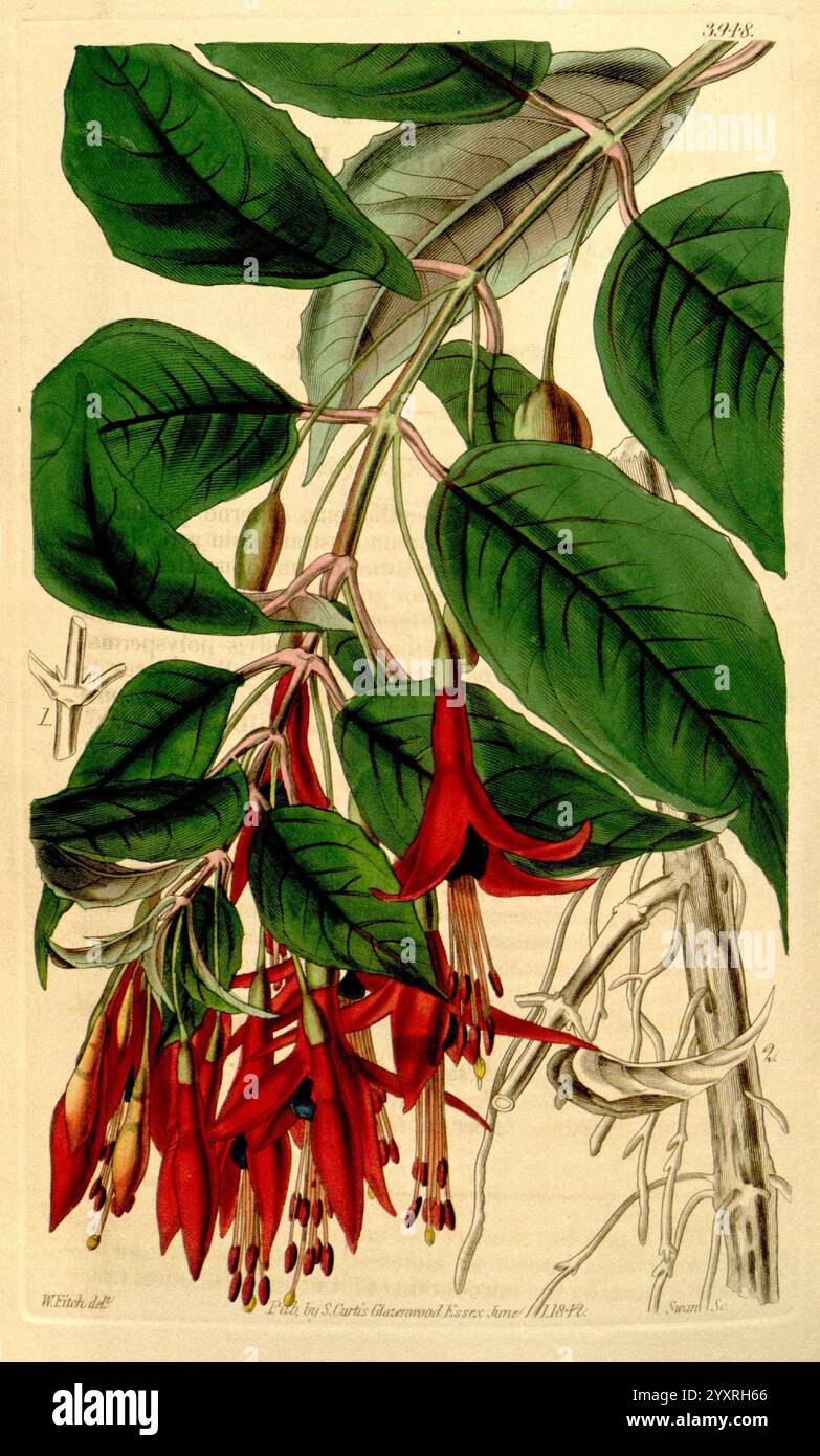 Striking tubular shape hi-res stock photography and images - Alamy