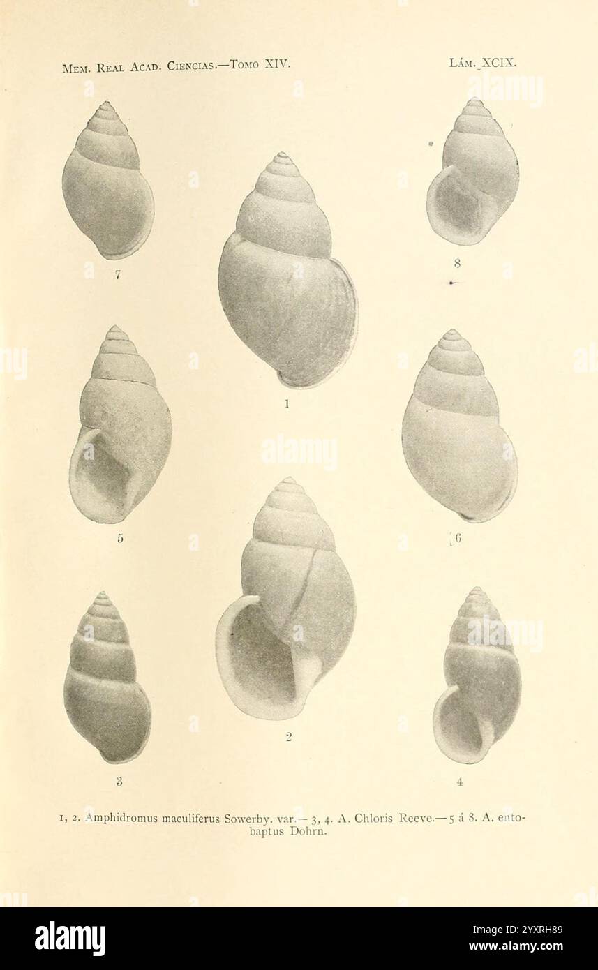 Presenting different angles hi-res stock photography and images - Alamy