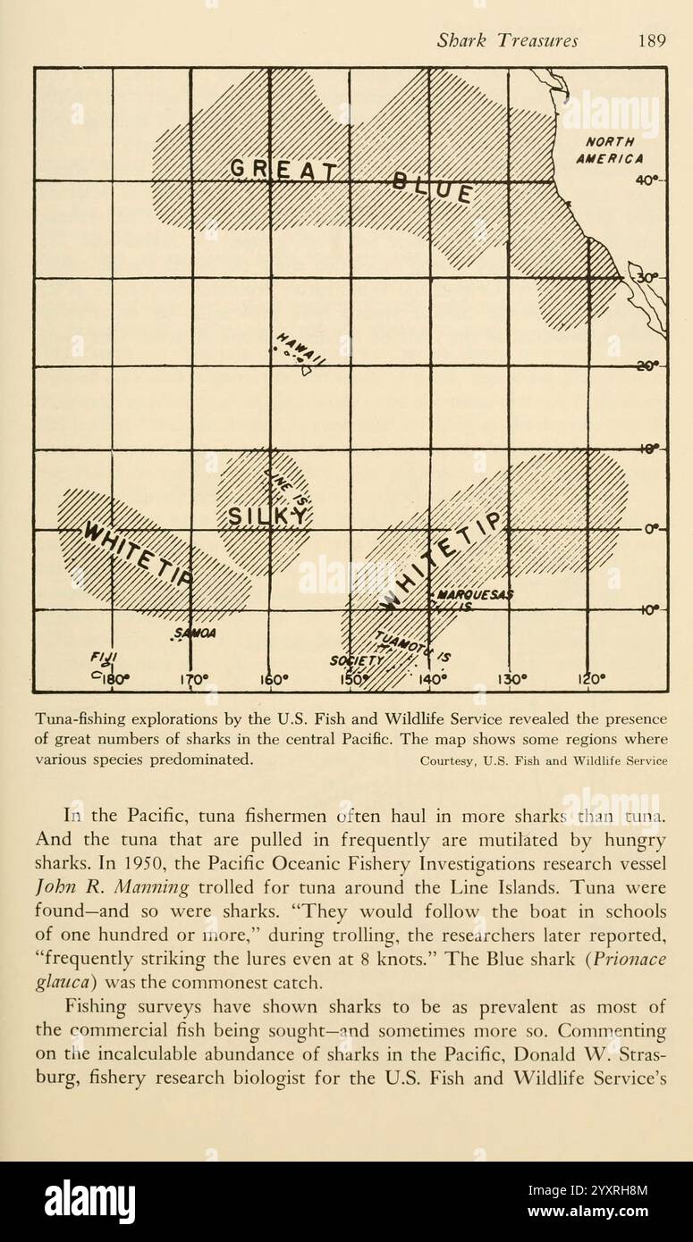 Frequented regions hi-res stock photography and images - Alamy