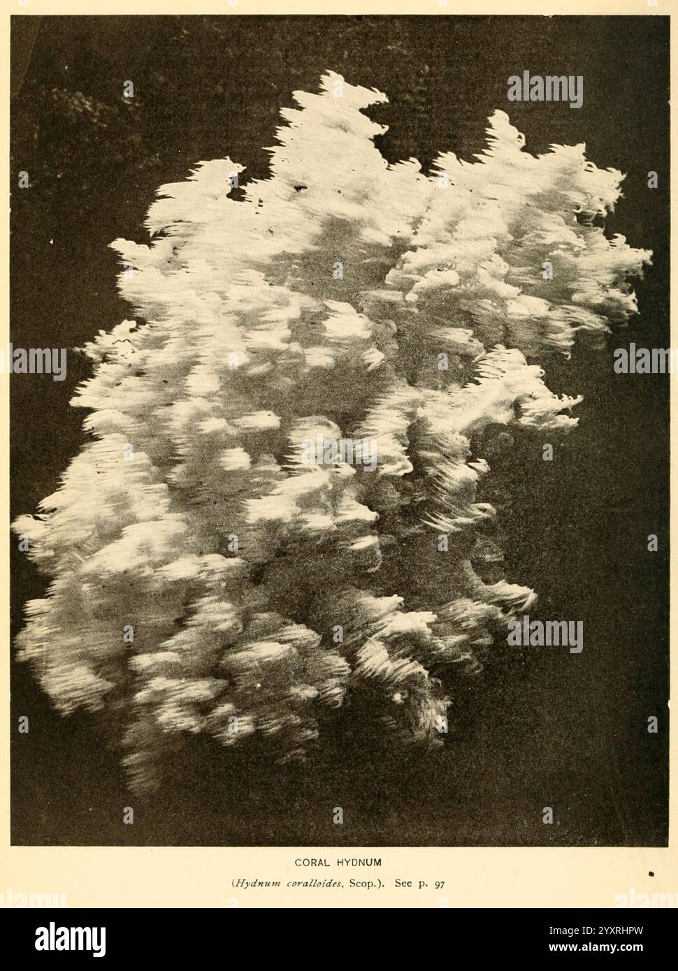 Creating new life forms hi-res stock photography and images - Alamy