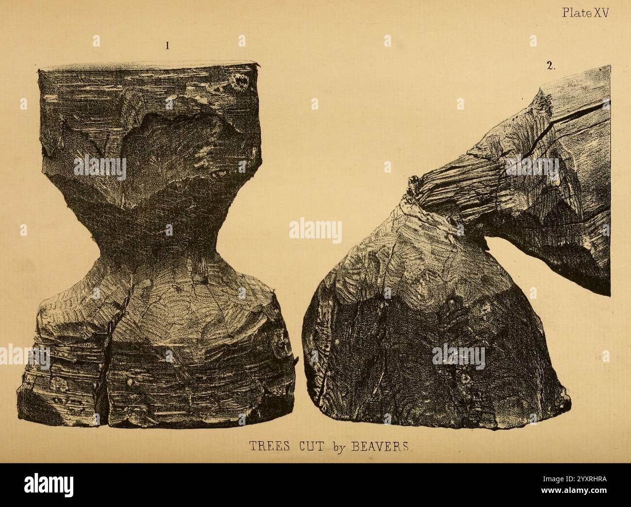 Two distinct geological formations hi-res stock photography and images ...