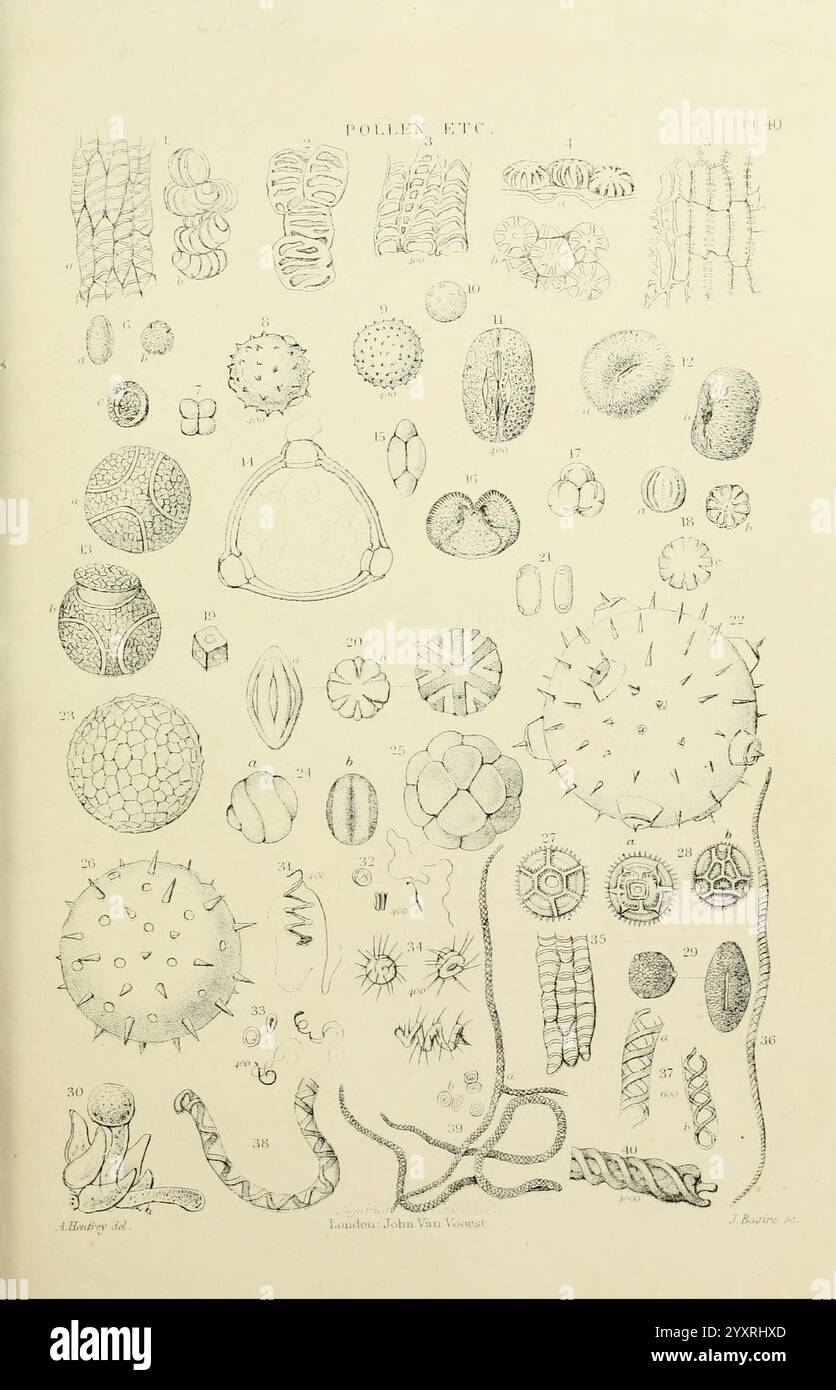 Showcasing angular features hi-res stock photography and images - Alamy