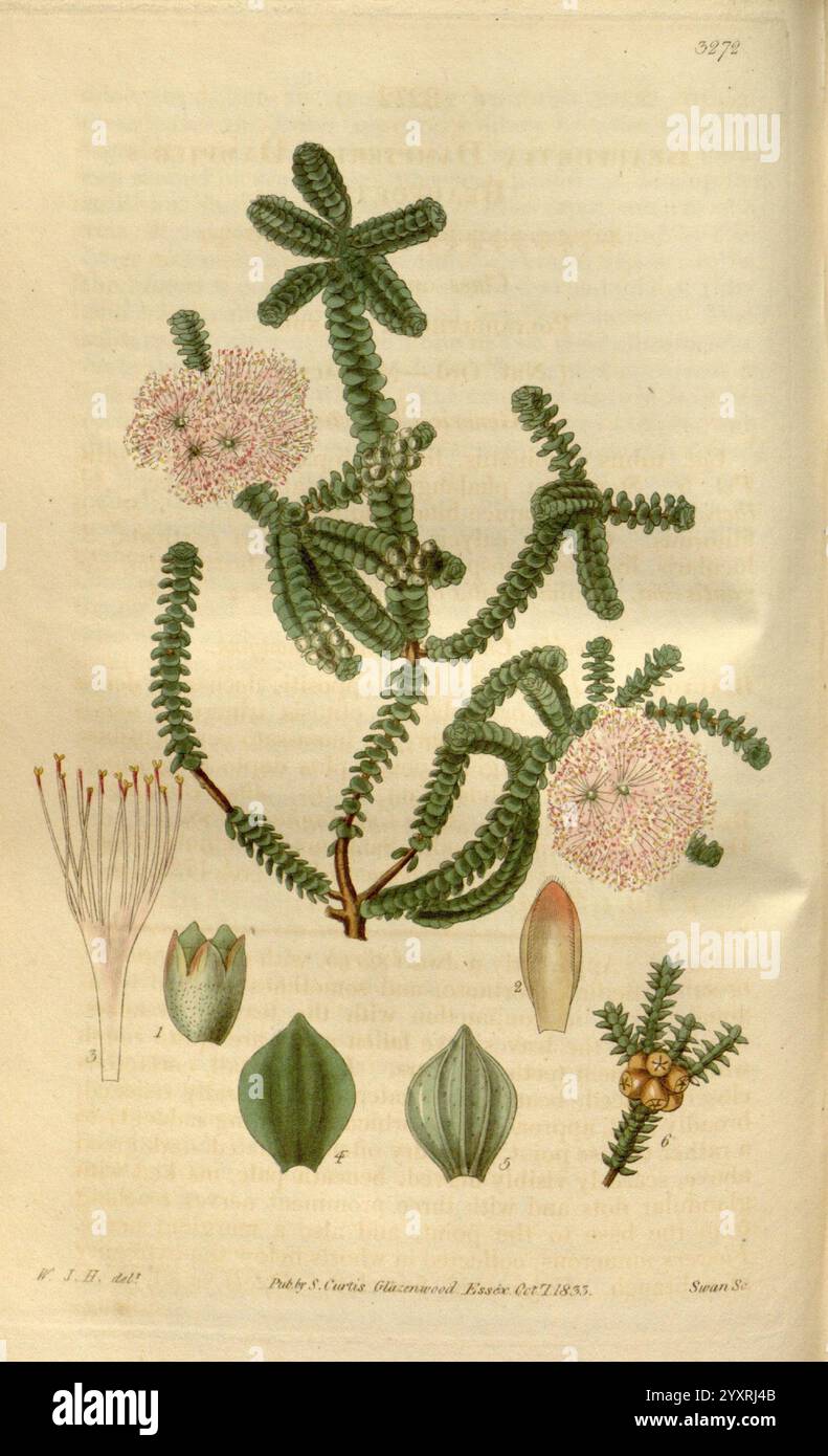 Longer filaments hi-res stock photography and images - Alamy