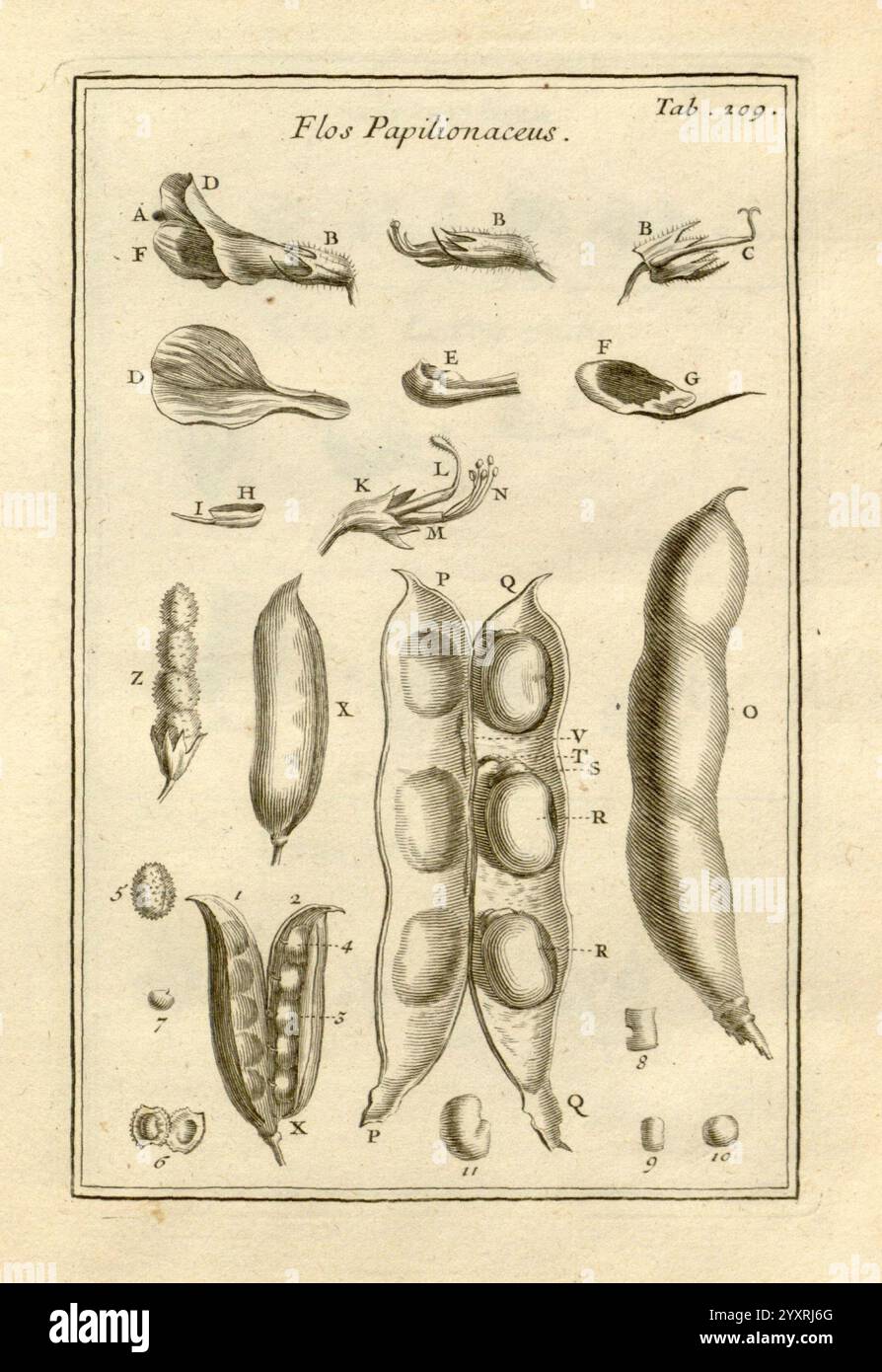Includes labeled diagrams showcasing hi-res stock photography and ...