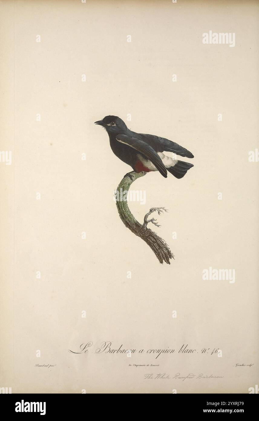 Title denotes hi-res stock photography and images - Alamy