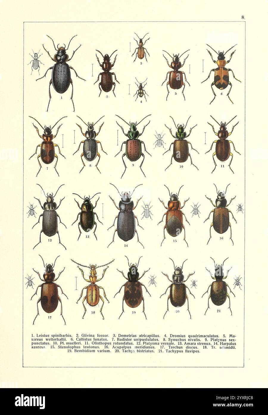 Naming conventions hi-res stock photography and images - Alamy