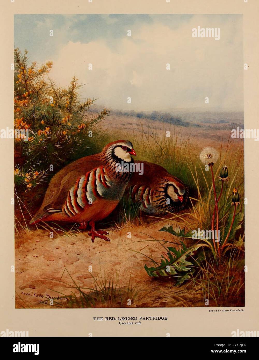 Gracefully upright hi-res stock photography and images - Alamy