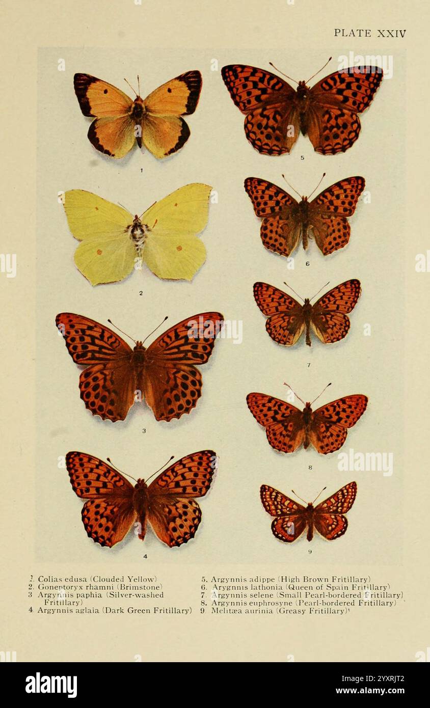 Display features two rows hi-res stock photography and images - Alamy