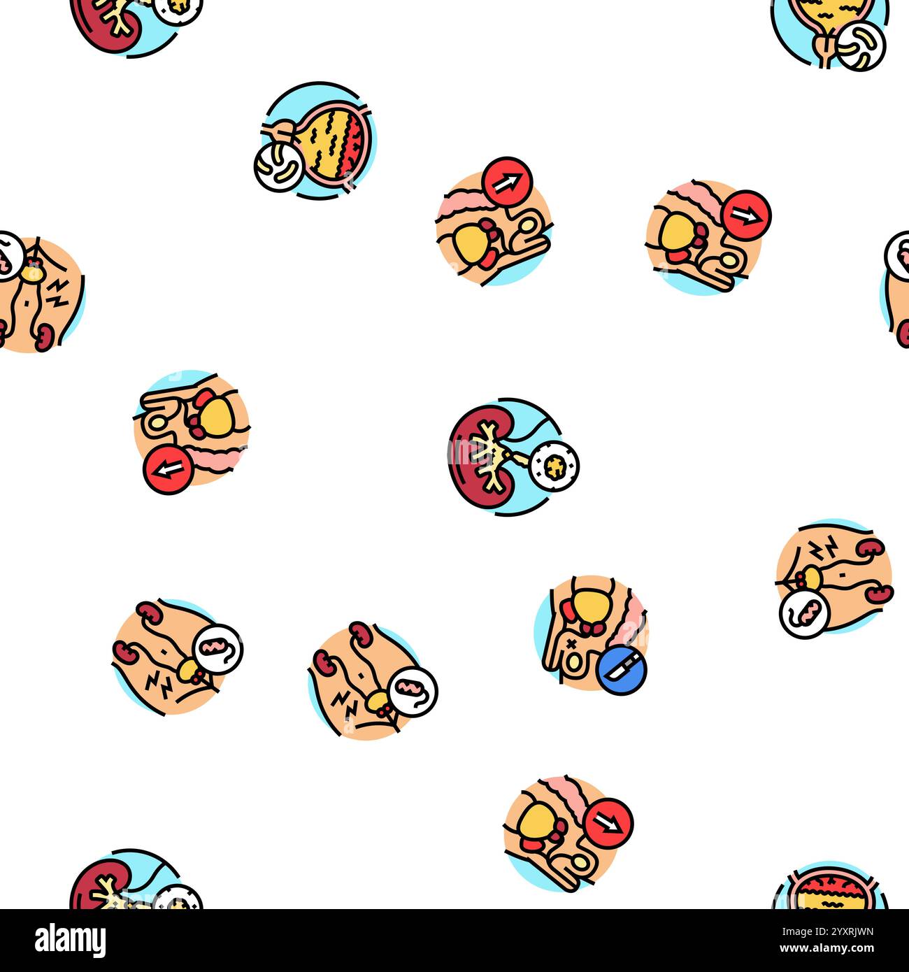 urology prostate urinary kidney seamless pattern vector Stock Vector ...