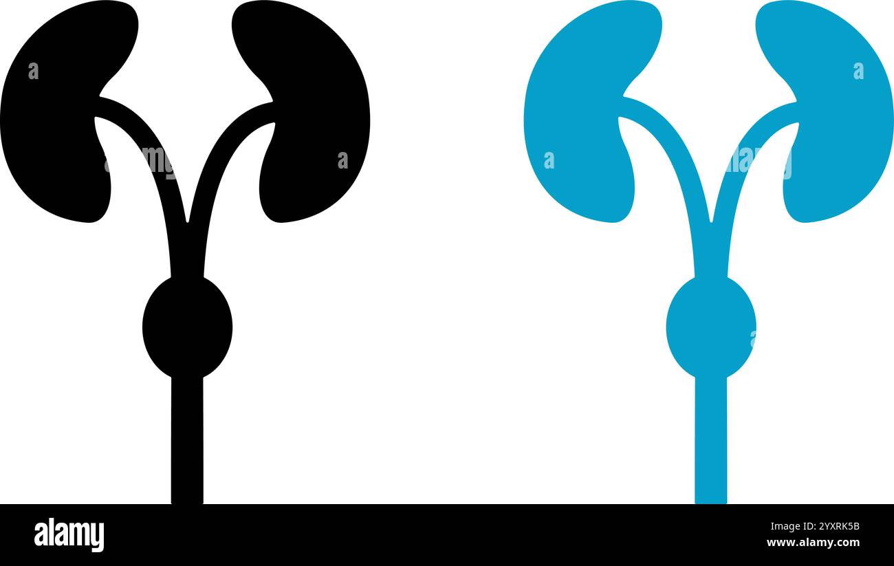 Illustrations of kidneys, for design on a medical theme Stock Vector ...