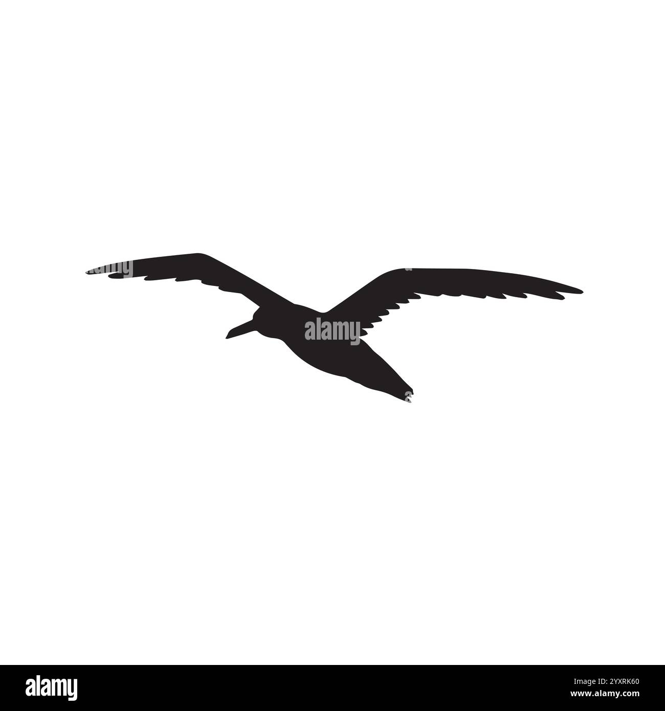 Vector black hand drawn sketch flying seagull silhouette isolated on ...