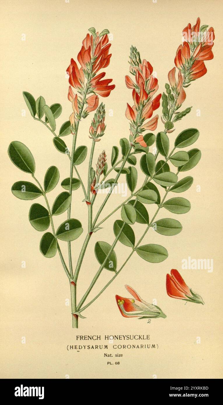 Annotated labels hi-res stock photography and images - Alamy