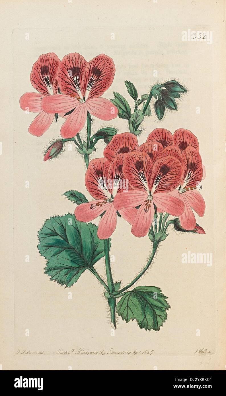 Elegant numerical label hi-res stock photography and images - Alamy