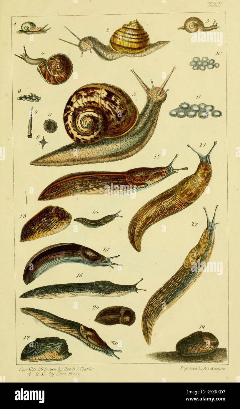 Streamline form hi-res stock photography and images - Alamy