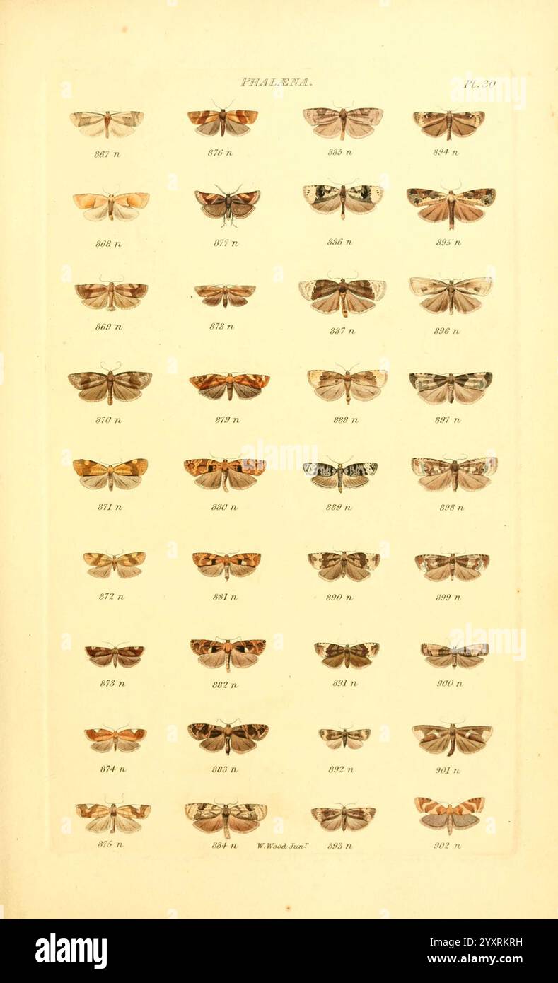 Visual assembly highlights hi-res stock photography and images - Alamy