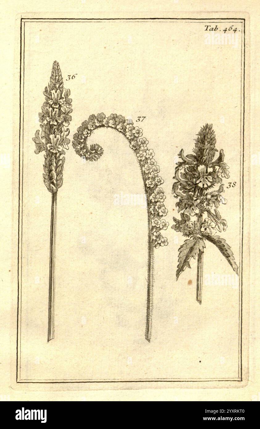 Central specimen displays hi-res stock photography and images - Alamy