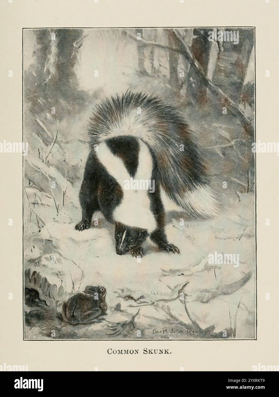 Four-footed, Americans, and, their, kin, New York, Macmillan, 1898, t.p ...