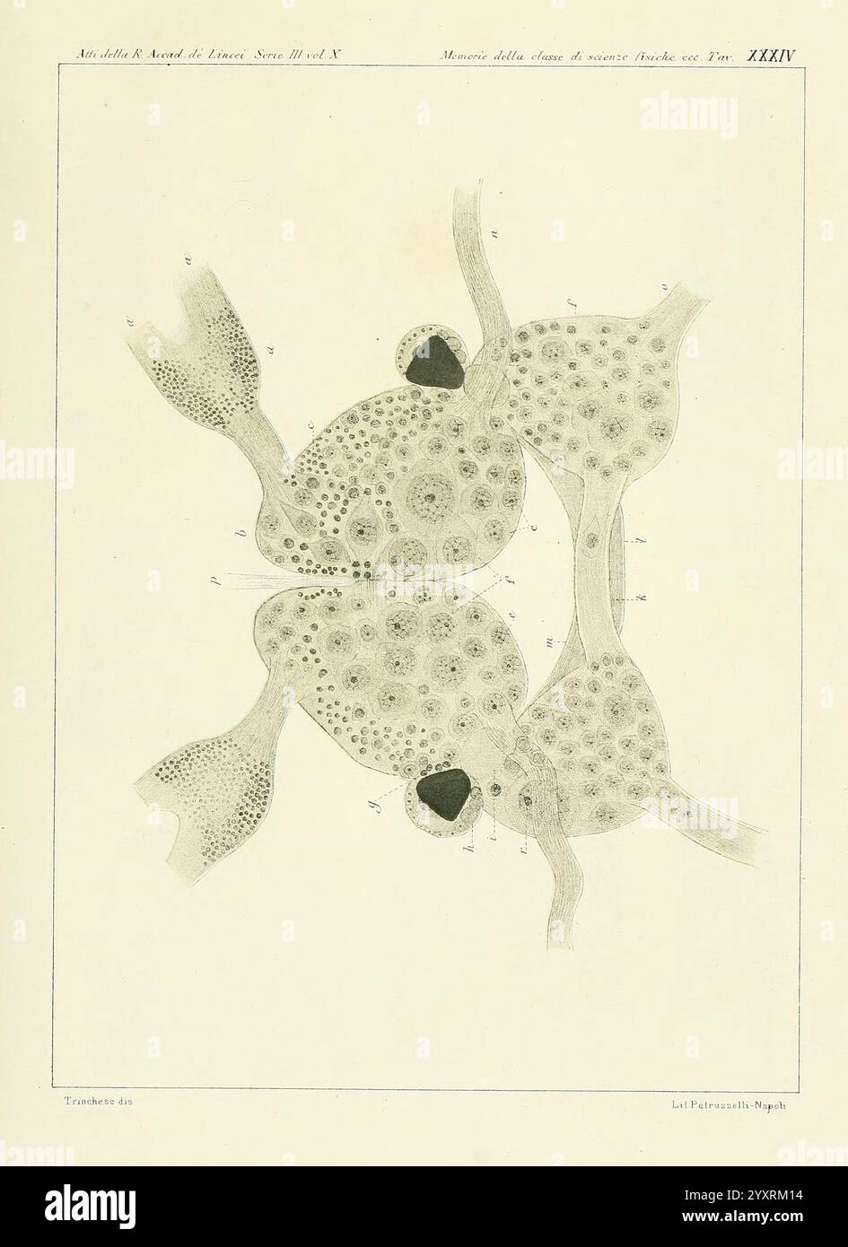 Interconnected regions hi-res stock photography and images - Alamy