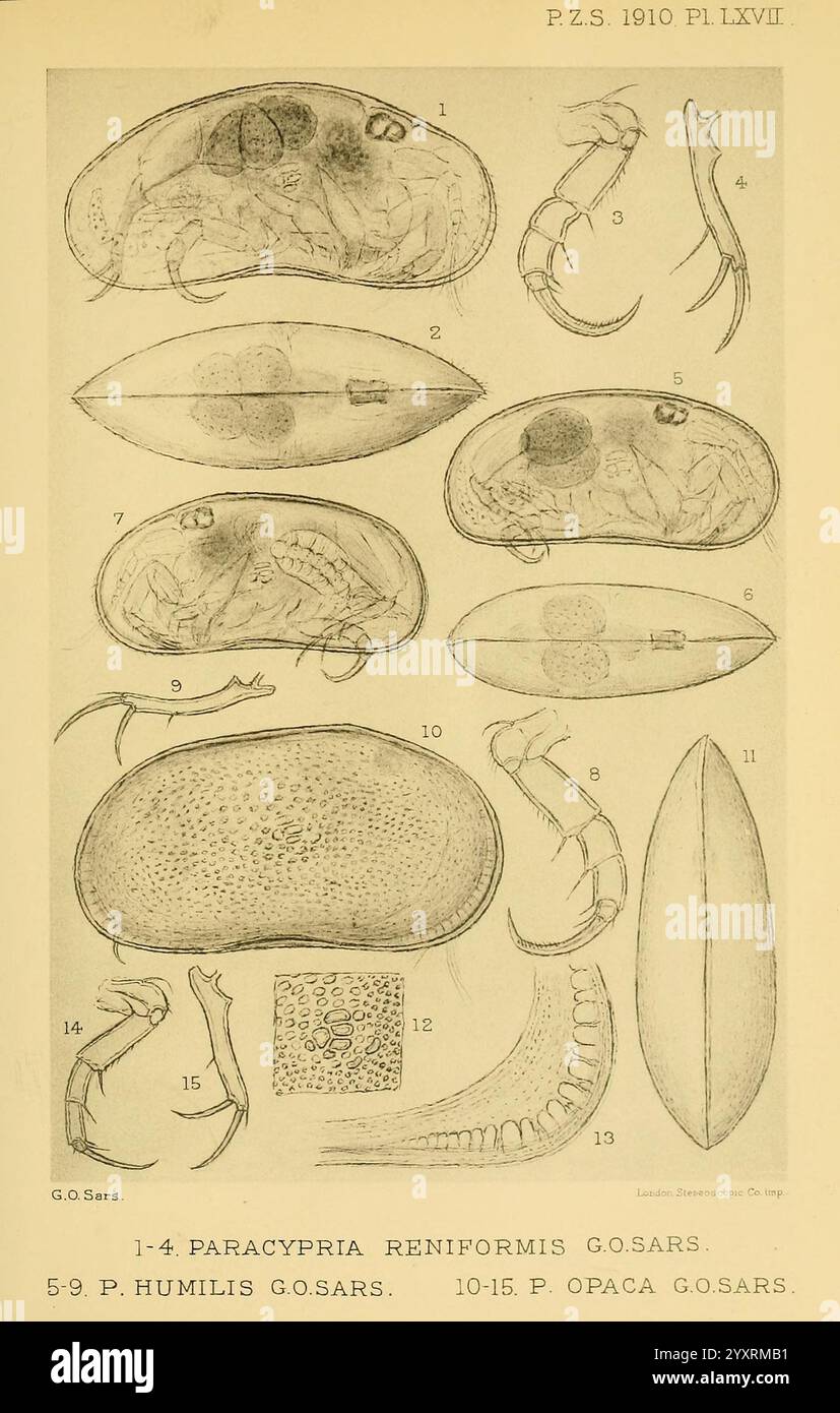 Proceedings of the Zoological Society of London, London, Academic Press ...