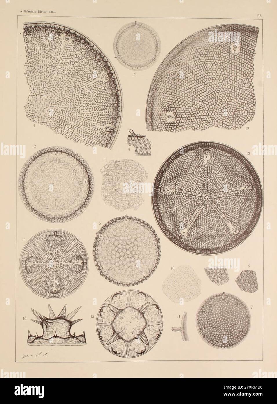 Atlas der Diatomaceen-Kunde, Leipzig, O. R. Reisland, 1874-1819 ...