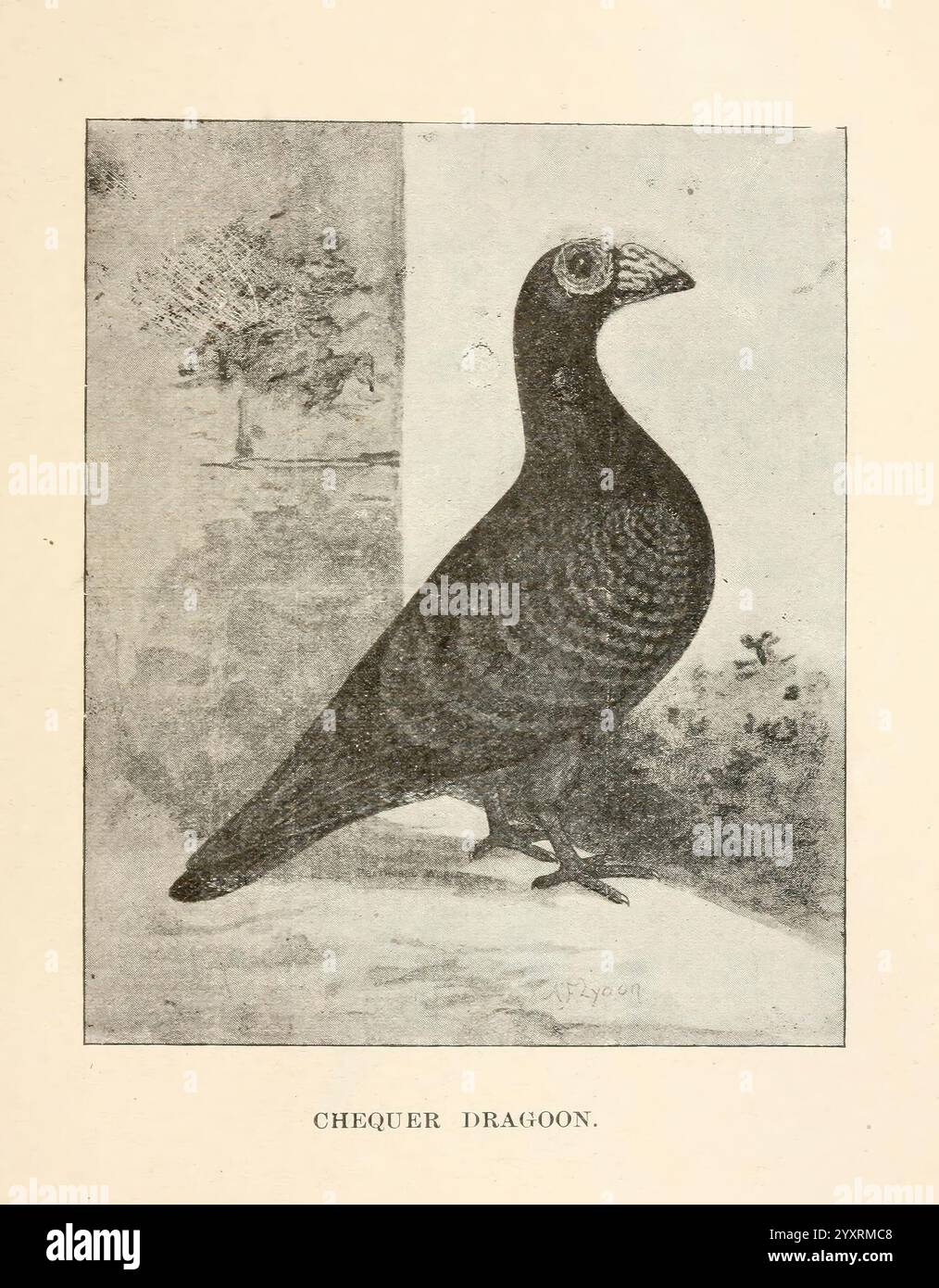 Abstract features stands hi-res stock photography and images - Alamy