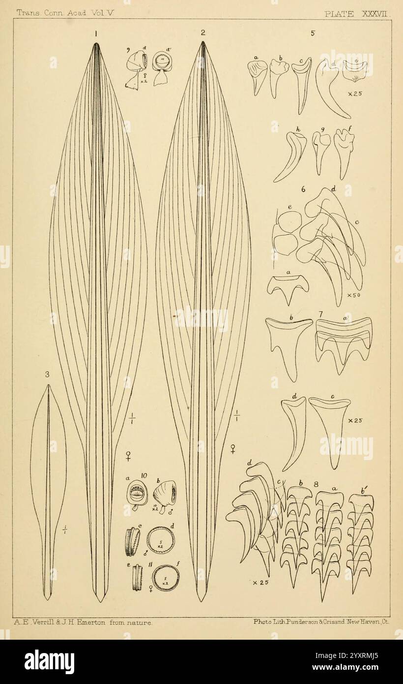 Parallel sided structures hi-res stock photography and images - Alamy