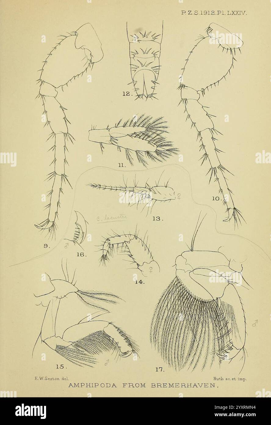 Proceedings of the Zoological Society of London, London, Academic Press ...