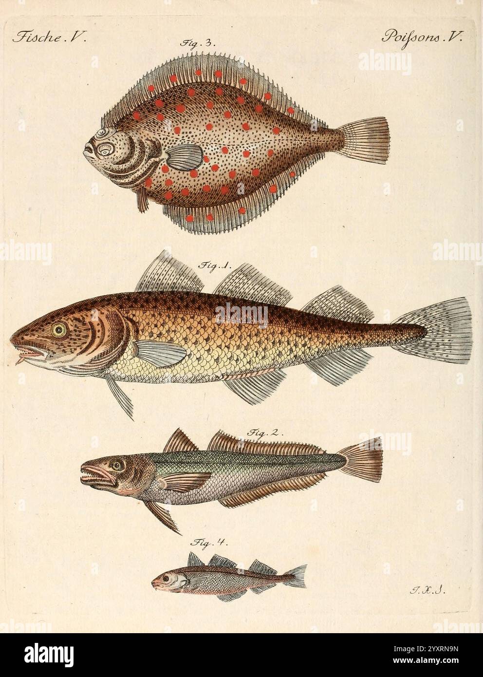 Porte-feuille instructif et amusant pour la jeunesse, À Vienne, Chez ...