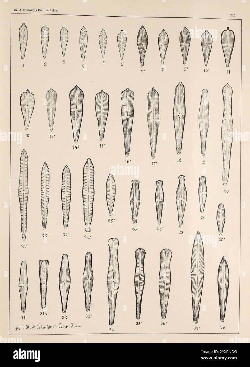 Shape numerically labeled hi-res stock photography and images - Alamy