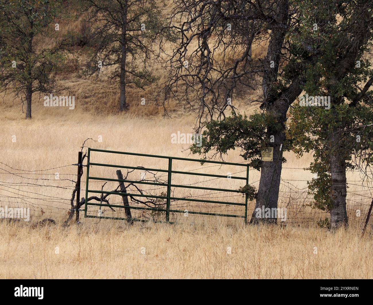 A barbed wire fence and metal gate protect remote field of dried grass ...