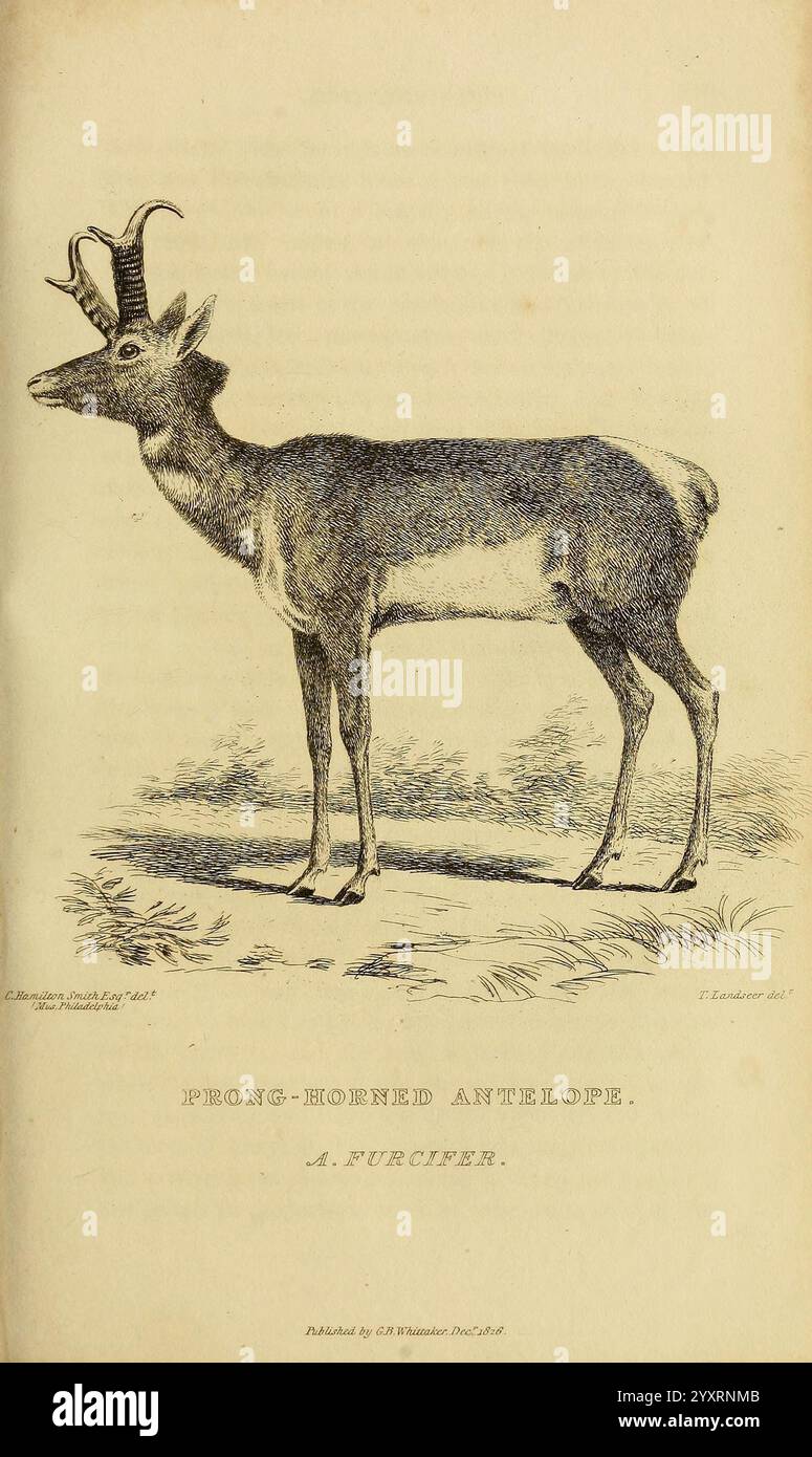 The animal kingdom, London, Printed for G.B. Whittaker, 1827-1835 ...