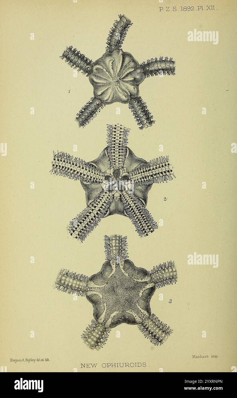 Multiple arms extend hi-res stock photography and images - Alamy