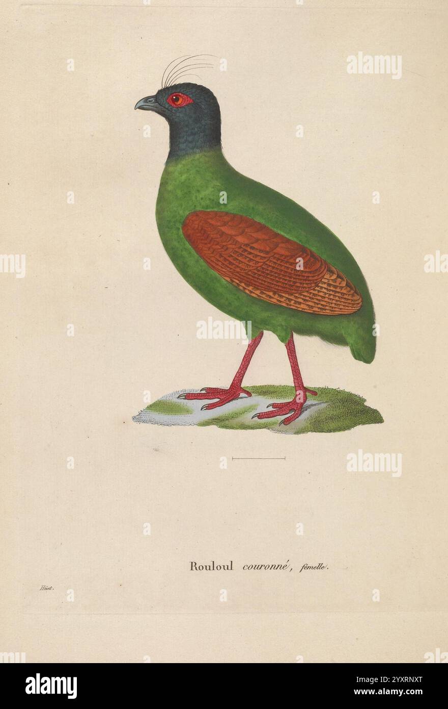 Chest transitions hi-res stock photography and images - Alamy