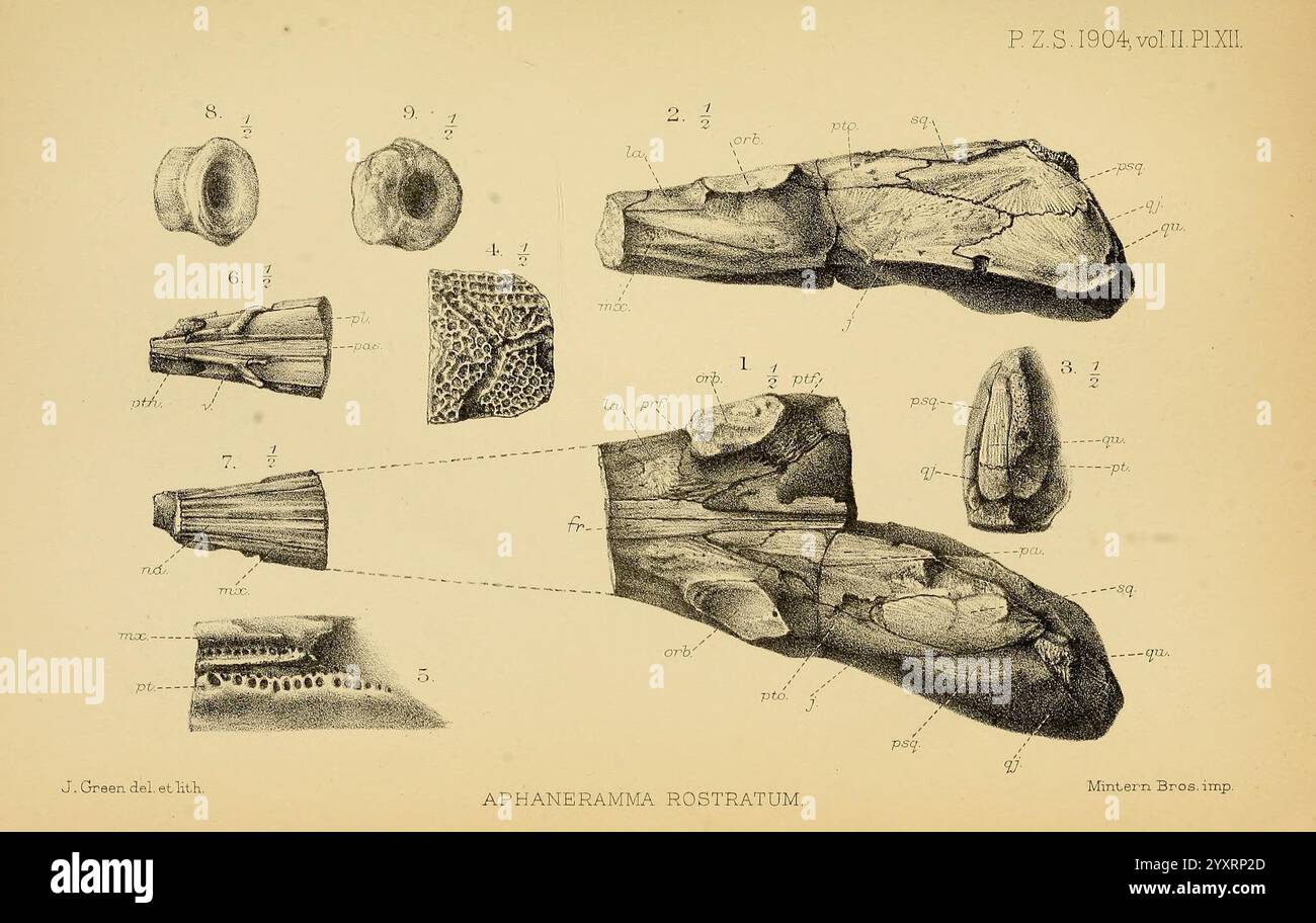 Labeled smaller sections hi-res stock photography and images - Alamy