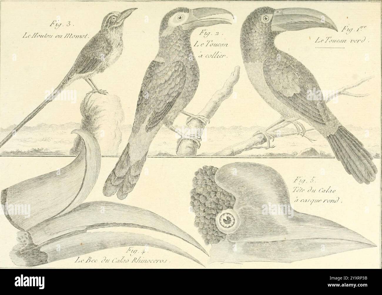 Works educational purpose hi-res stock photography and images - Alamy