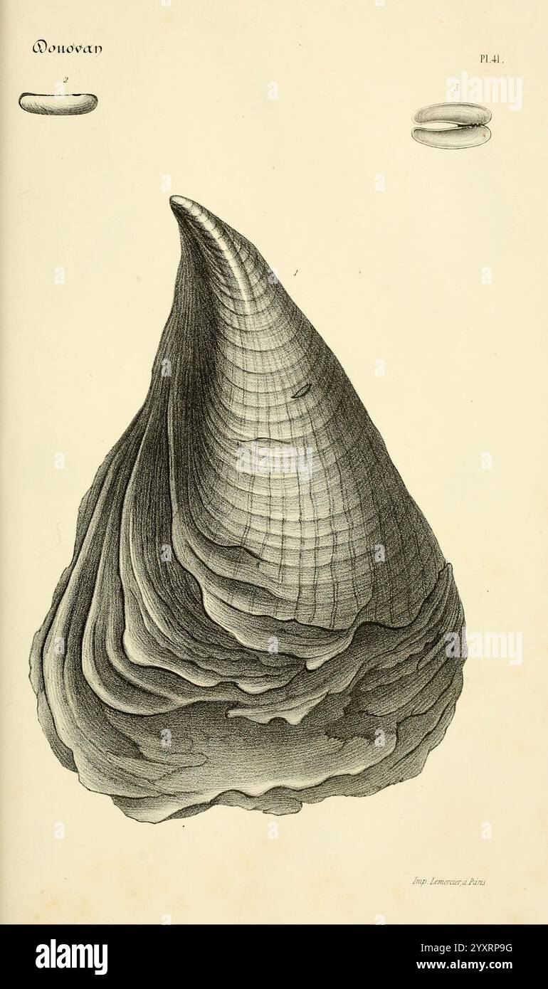 Two smaller circular forms hi-res stock photography and images - Alamy