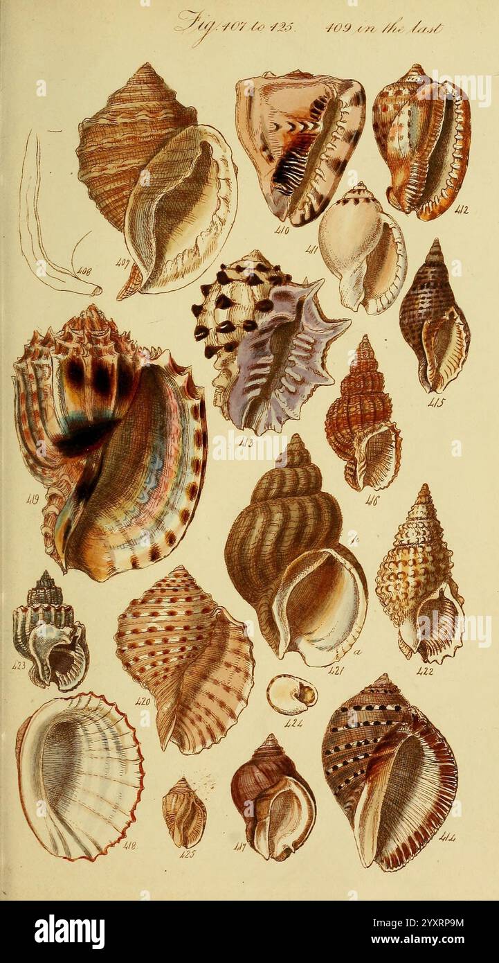 Histsci hi-res stock photography and images - Alamy